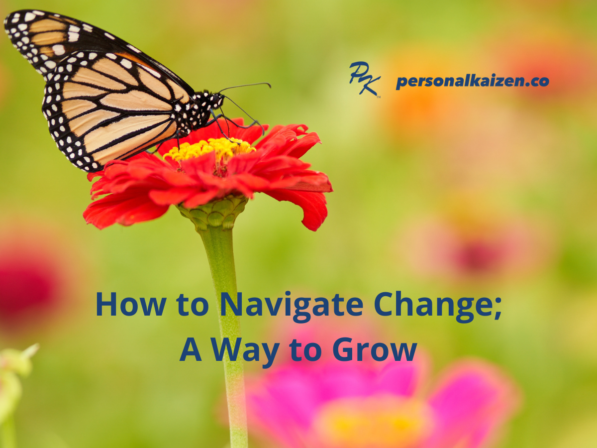 How to Navigate Change; A Way to Grow – Personal Kaizen